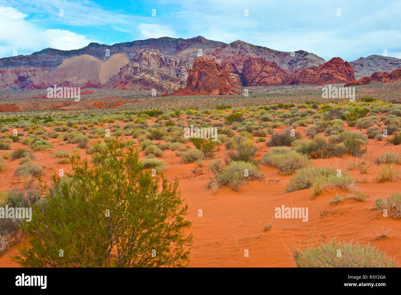 Gold butte wash hi-res stock photography and images - Alamy