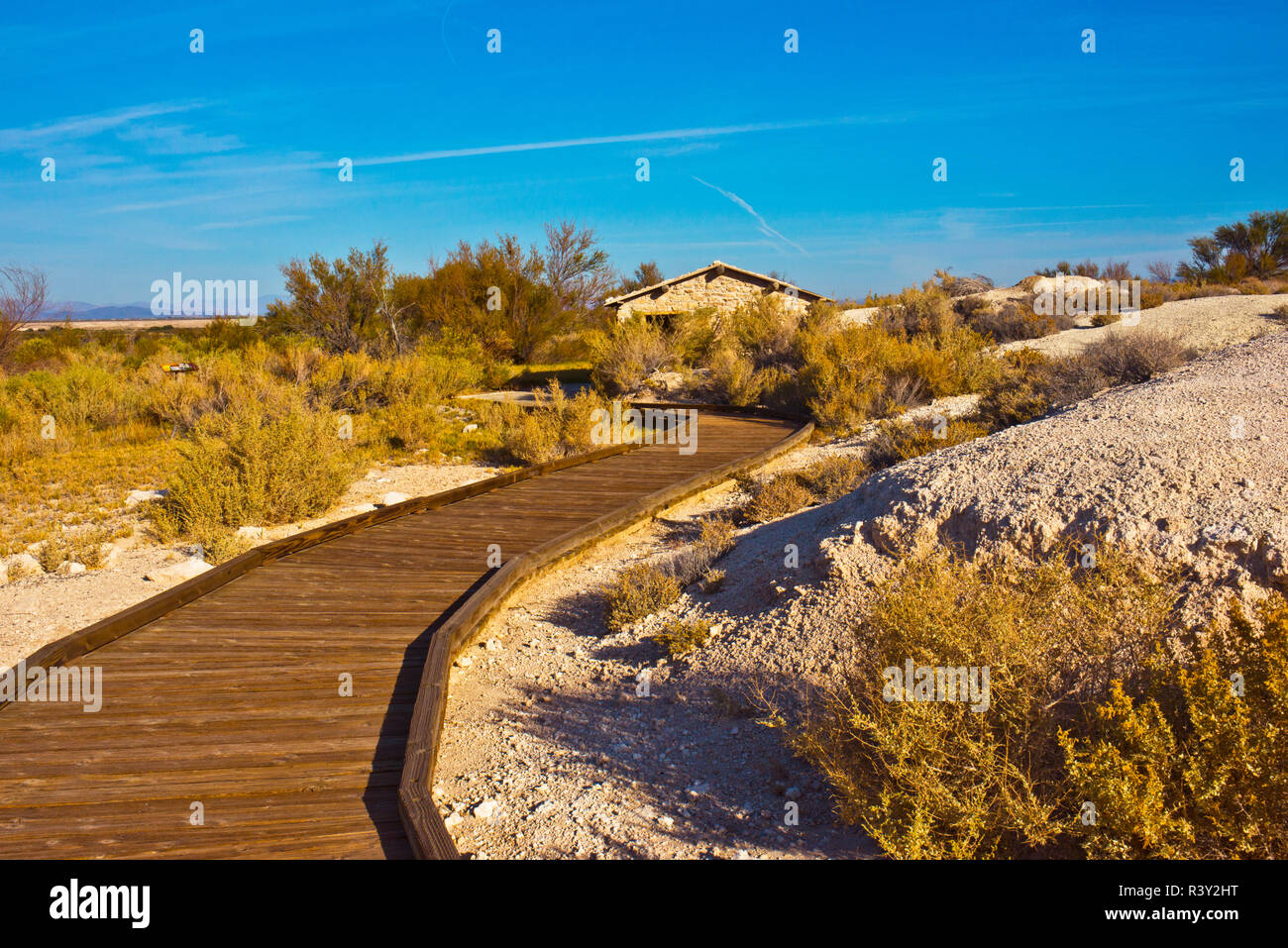 USA, Nevada, Amargosa Valley, Ash Meadows National Wildlife Refuge ...