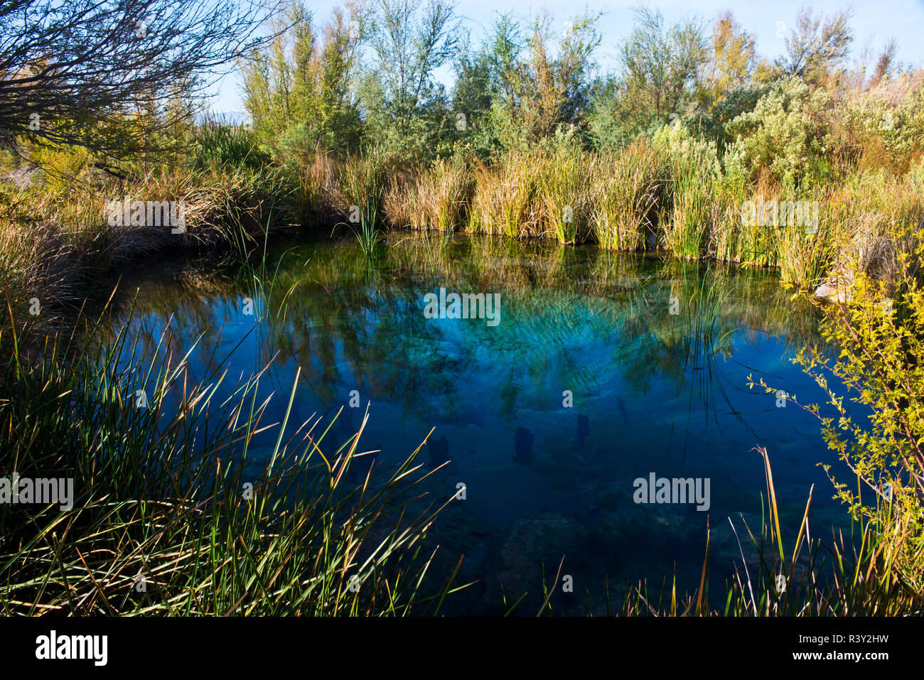 USA, Nevada, Amargosa Valley, Ash Meadows National Wildlife Refuge ...
