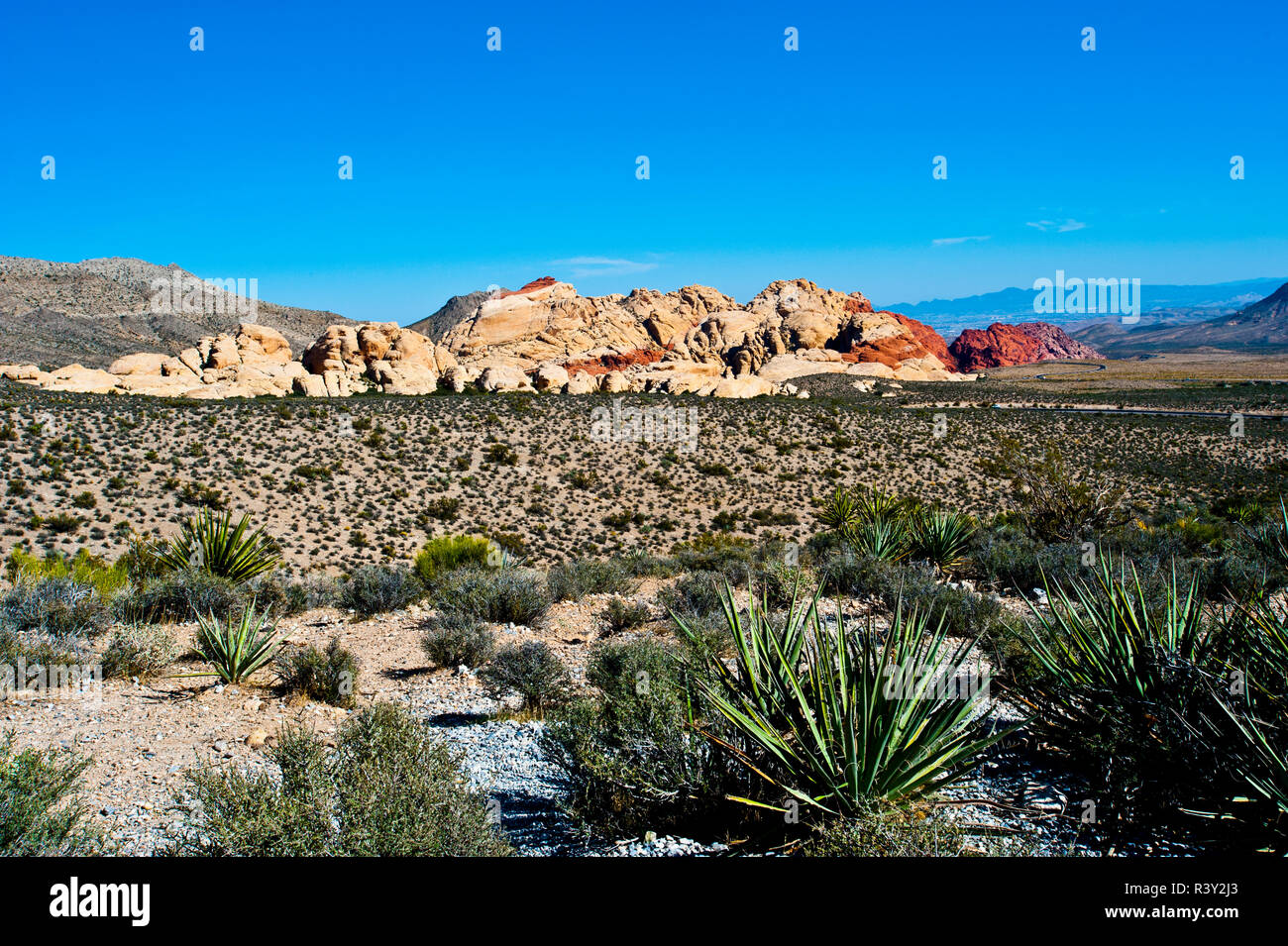 Red rock canyon overlook hi-res stock photography and images - Alamy