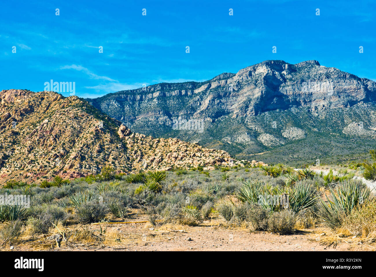 Red rock canyon overlook hi-res stock photography and images - Alamy