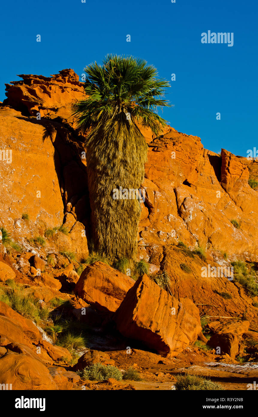 Gold butte desert hi-res stock photography and images - Alamy