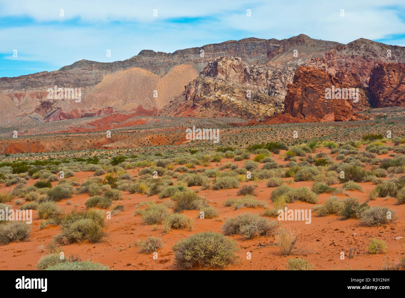 Gold butte national monument hi-res stock photography and images - Alamy