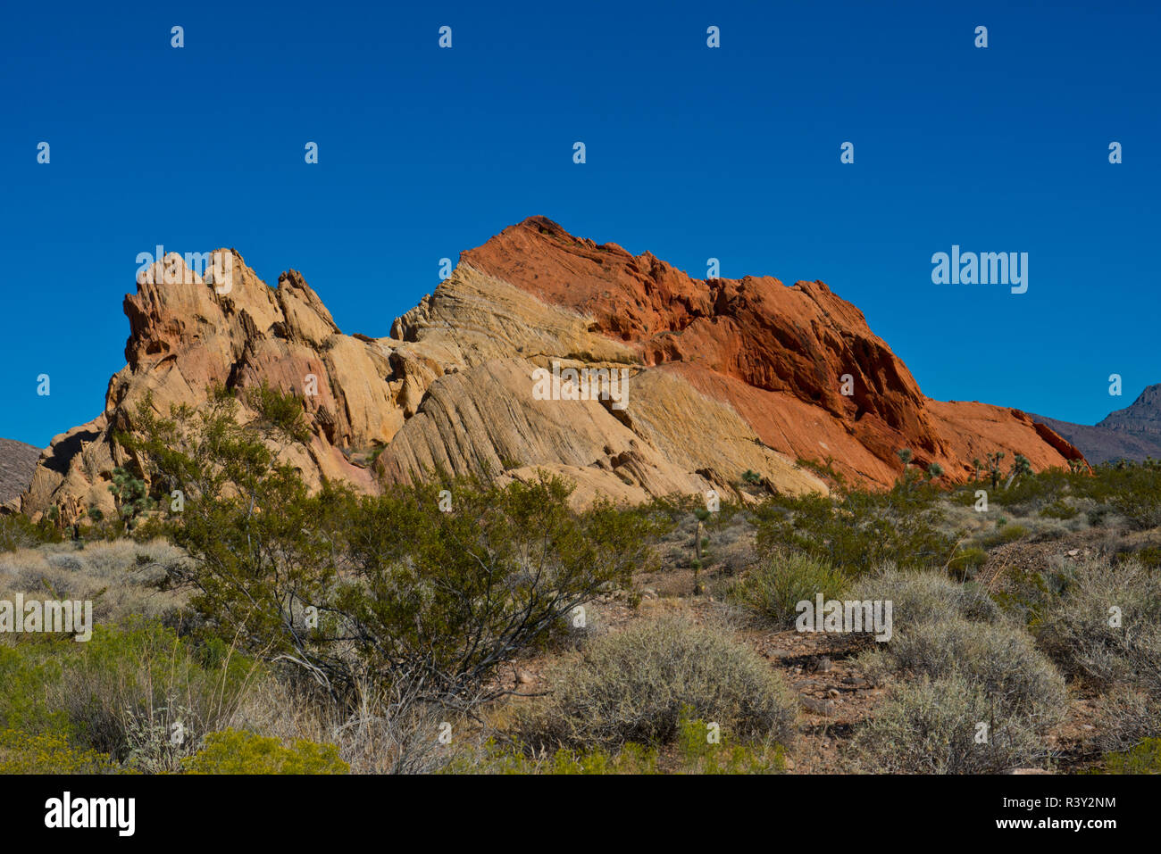 Gold butte national monument hi-res stock photography and images - Alamy