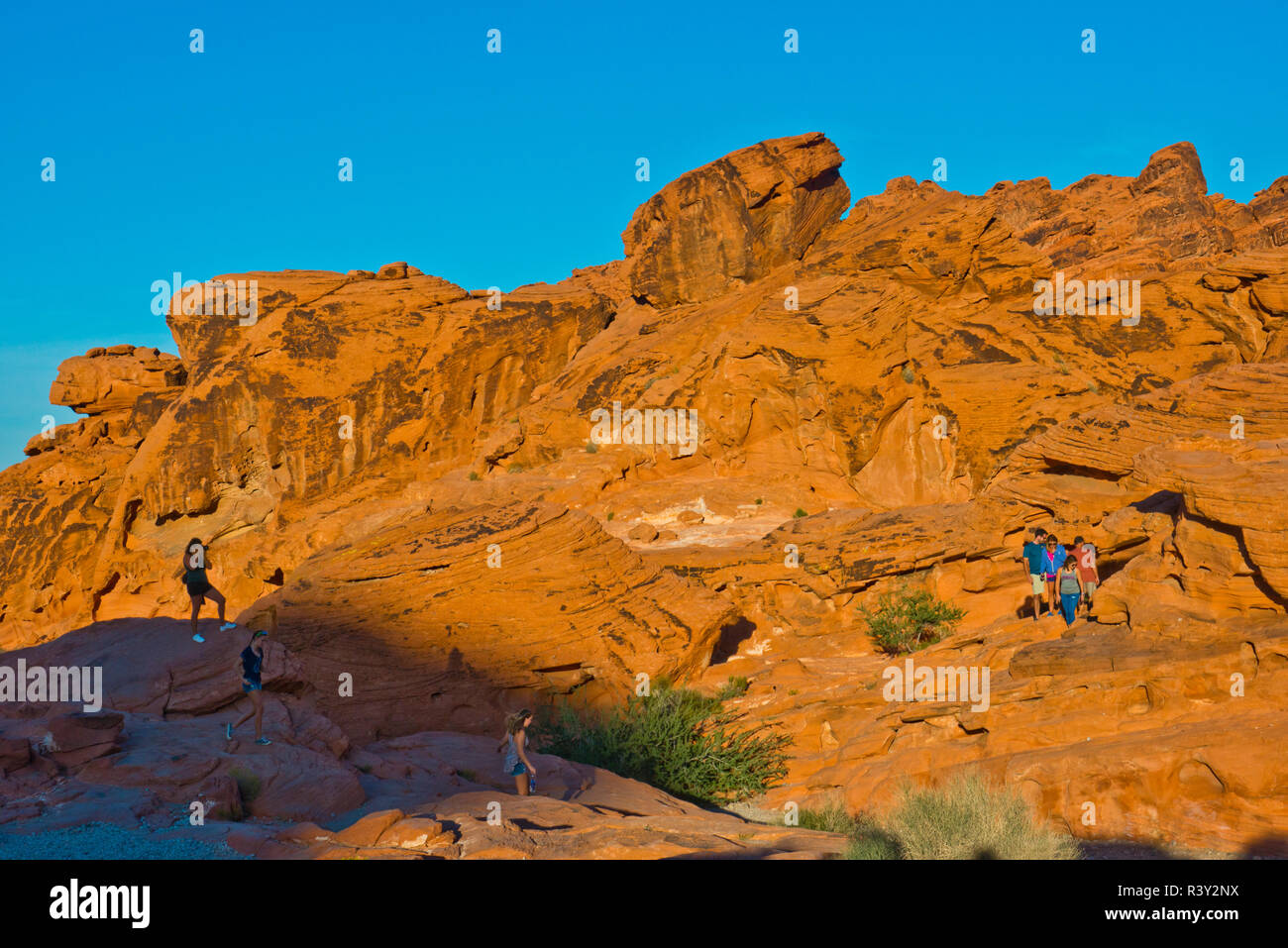 Valley of fire beehives hi-res stock photography and images - Alamy