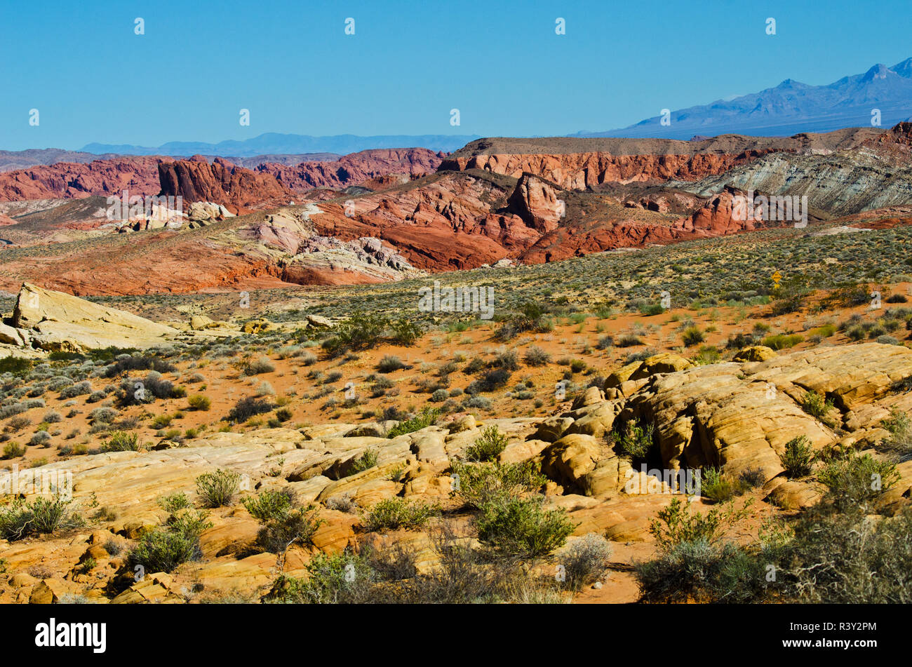 USA, Nevada. Valley of Fire State Park, Mouse's Tank Road looking north ...
