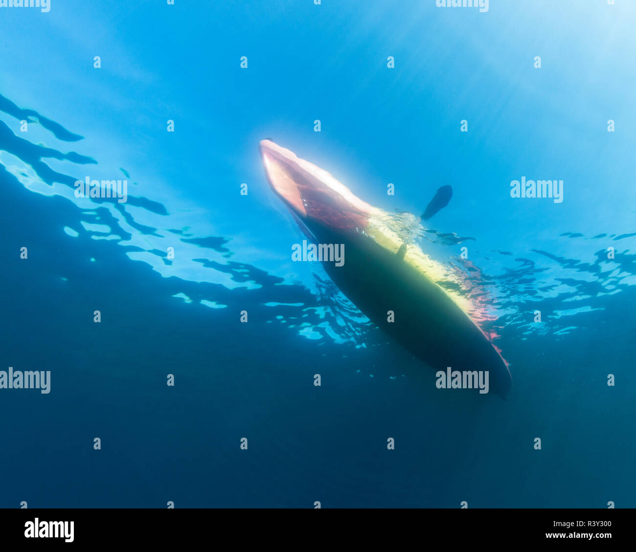 Underwater image taken in Lake Tahoe near Sand Harbor, Nevada showing ...