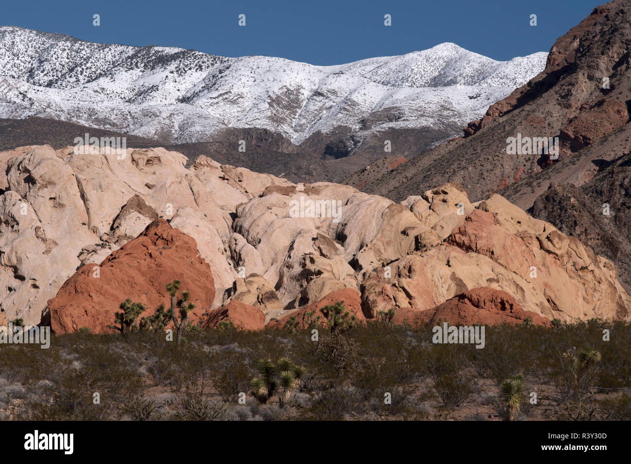 Judith mountains hi-res stock photography and images - Alamy