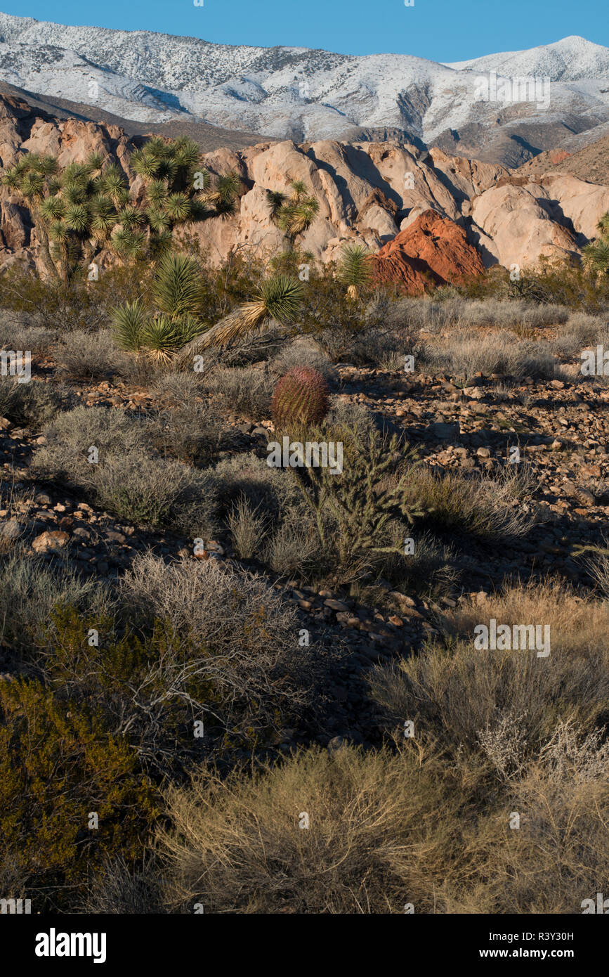Judith mountains hi-res stock photography and images - Alamy