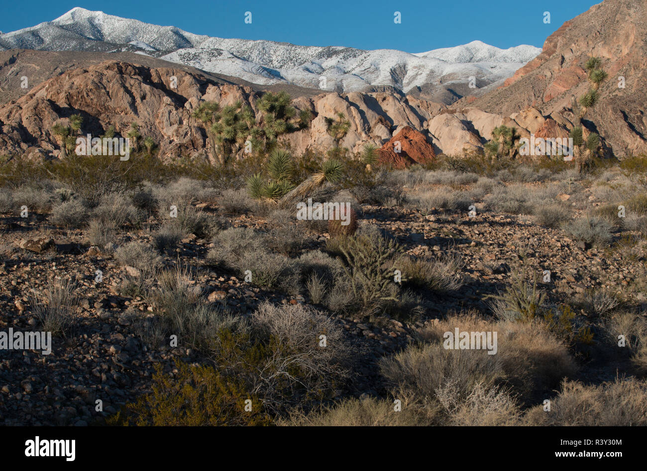 Judith Mountains High Resolution Stock Photography and Images - Alamy