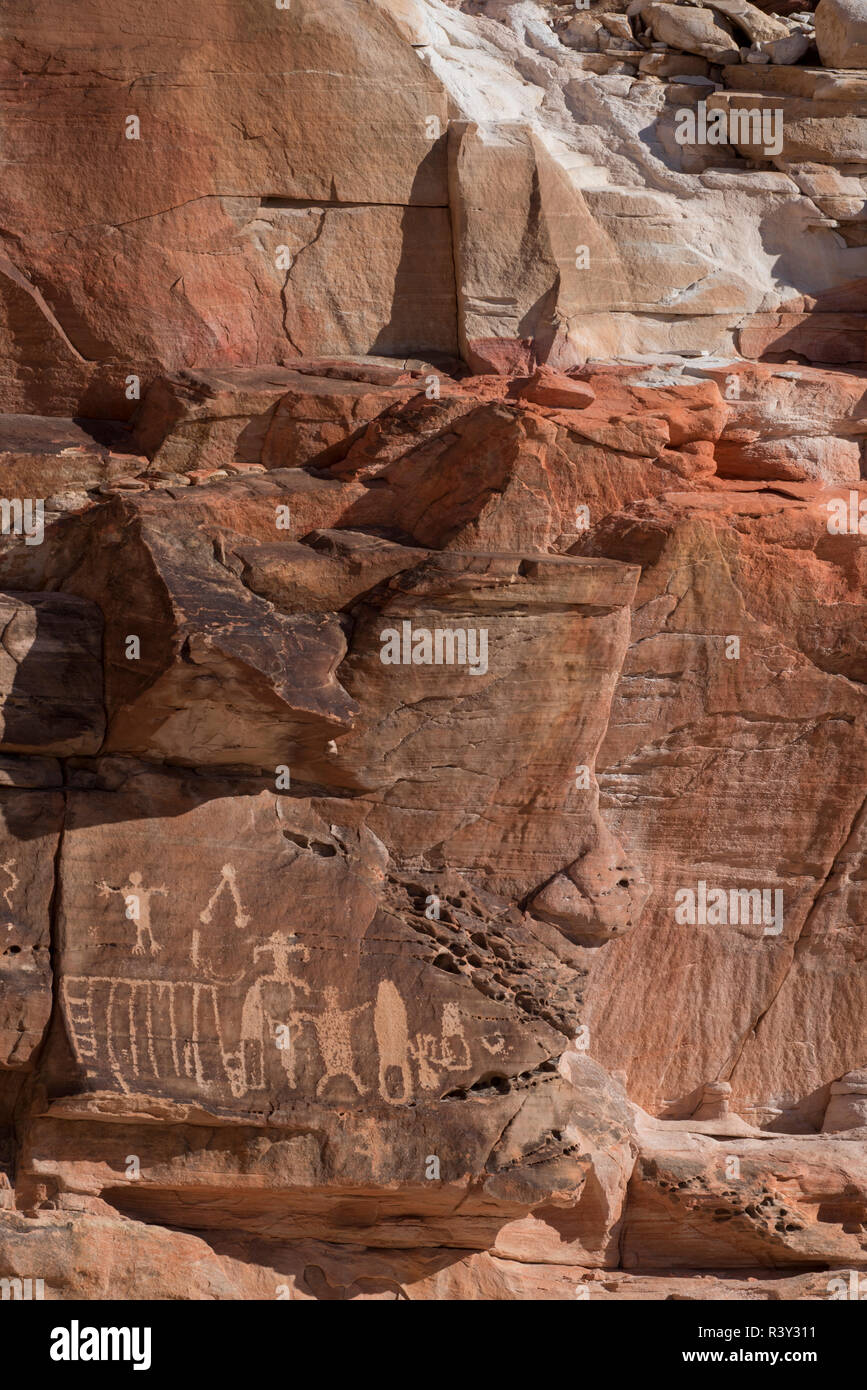 USA, Nevada. Petroglyph panel on sandstone cliff face near Falling Man ...