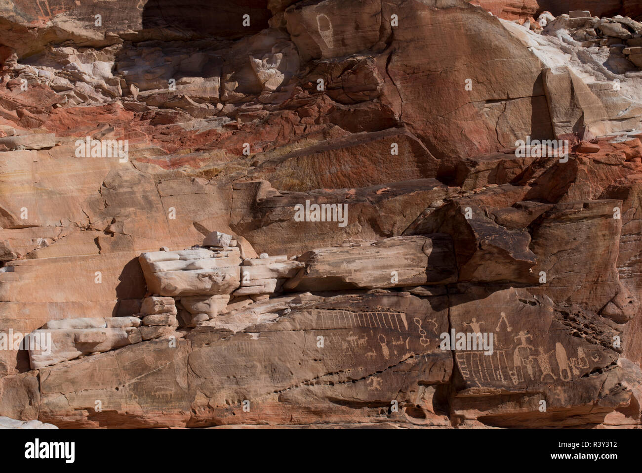 USA, Nevada. Petroglyph panel on sandstone cliff face near Falling Man ...