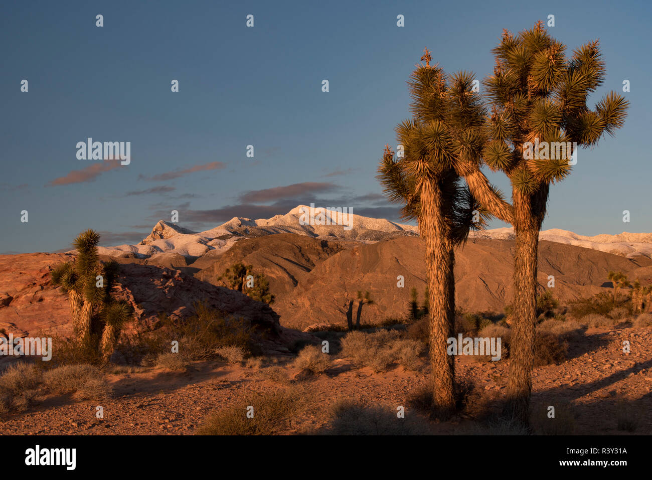 Judith Mountains High Resolution Stock Photography and Images - Alamy