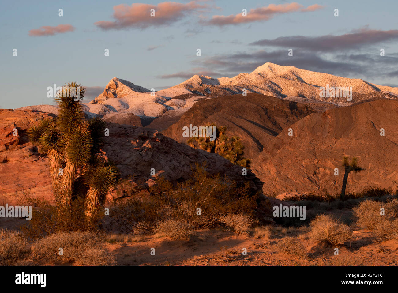 Judith Mountains High Resolution Stock Photography and Images - Alamy
