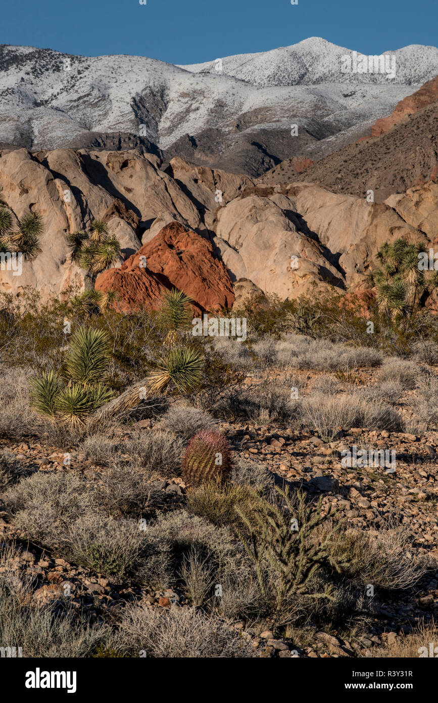 Judith Mountains High Resolution Stock Photography and Images - Alamy