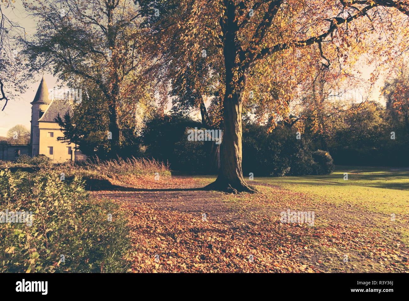 Callendar park hi-res stock photography and images - Alamy