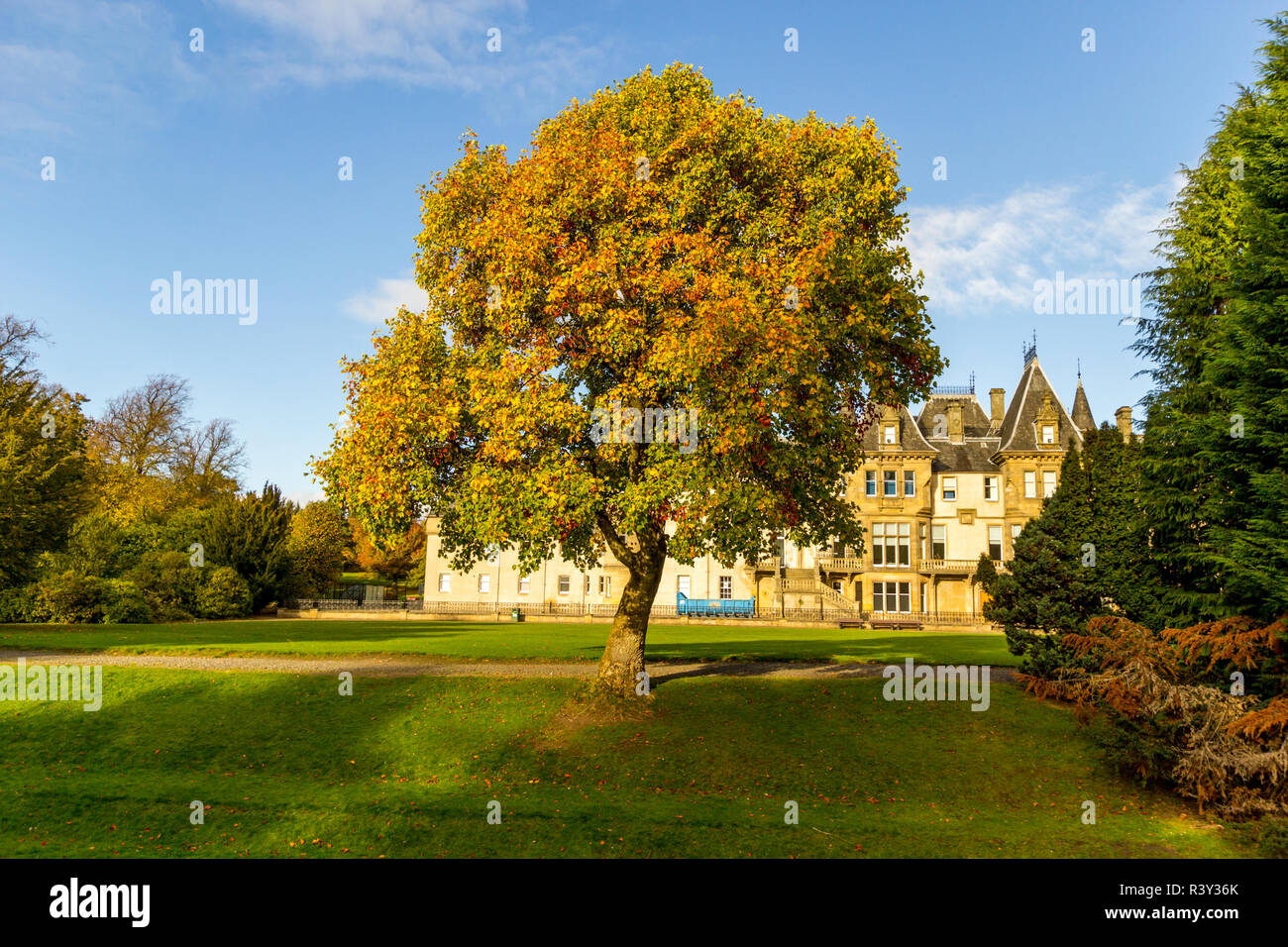 Callendar House/ Estate in Callendar Park, Falkirk, Scotland, UK Stock ...