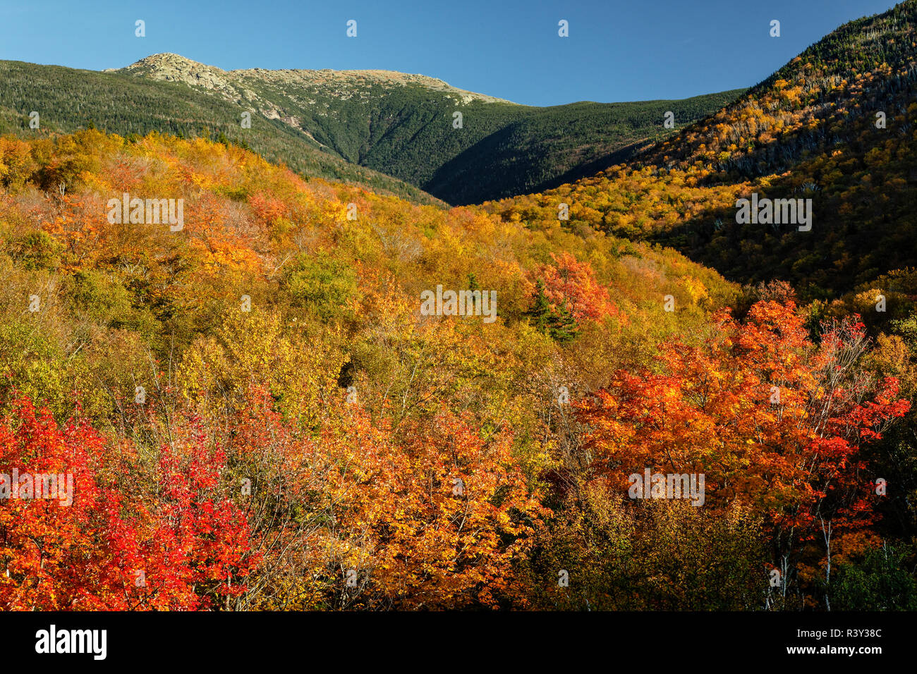 Mount Lafayette Stock Photos & Mount Lafayette Stock Images - Alamy