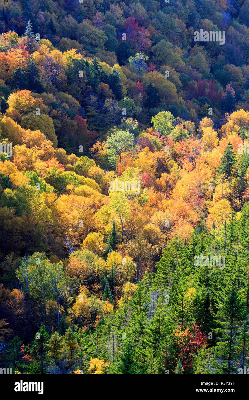 Fall foliage on Mount Madison in New Hampshire's White Mountain ...