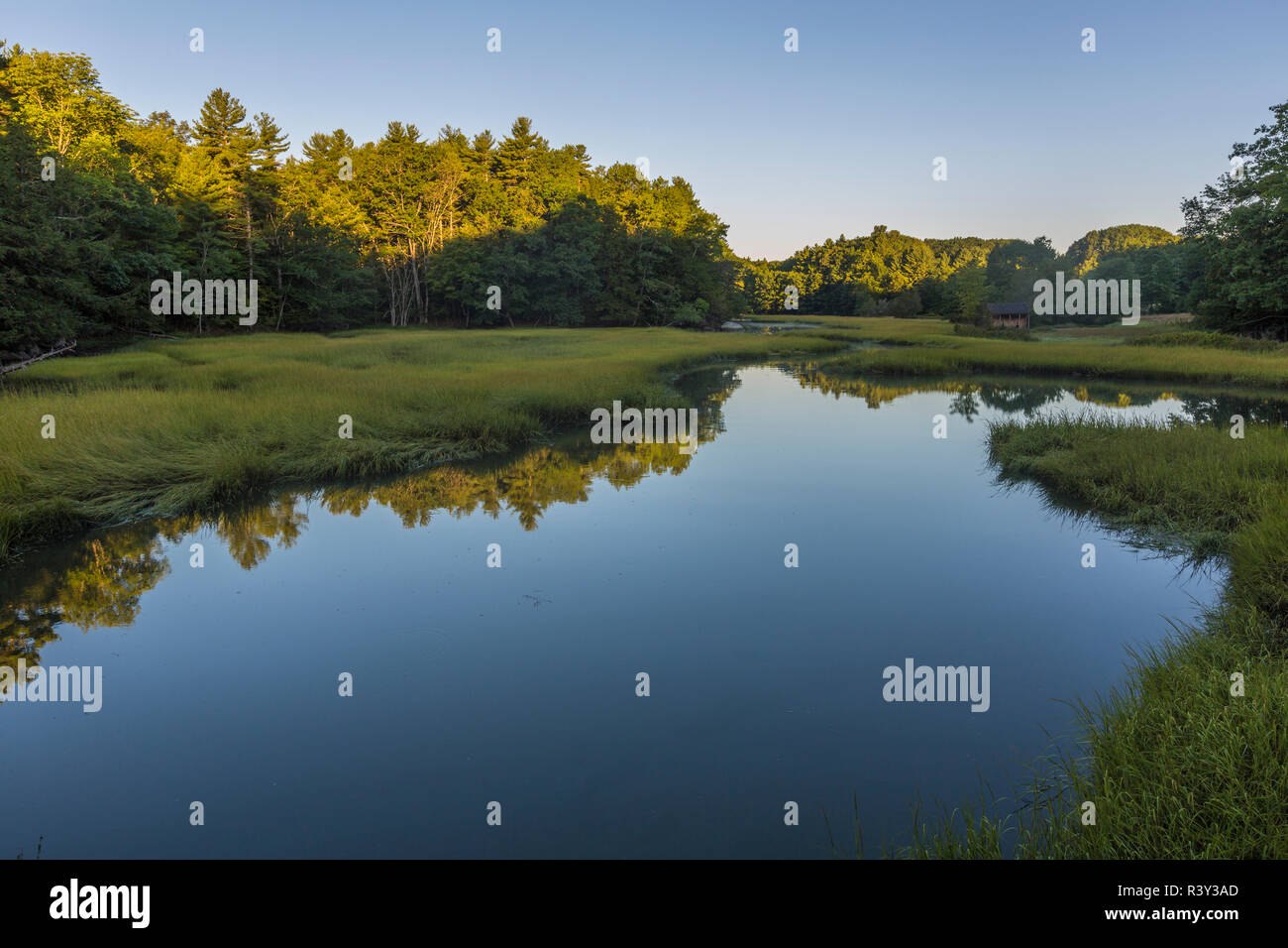 Marcy adams hi-res stock photography and images - Alamy