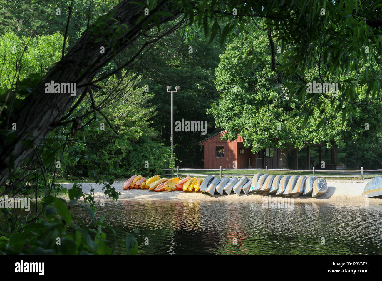 Turkey Swamp Park, Freehold, New Jersey, Usa Stock Photo - Alamy