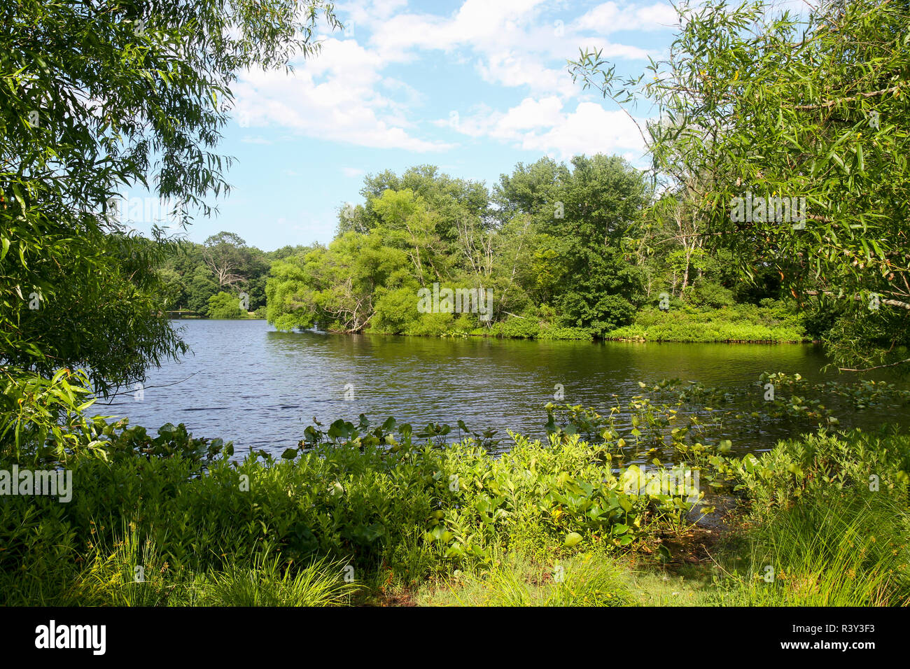 Turkey Swamp Park, Freehold, New Jersey, Usa Stock Photo - Alamy