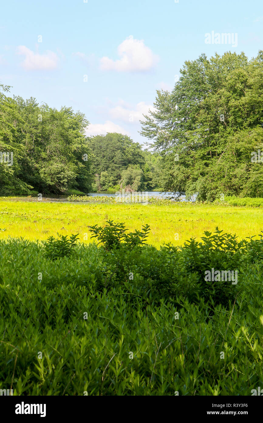 Turkey Swamp Park, Freehold, New Jersey, Usa Stock Photo - Alamy
