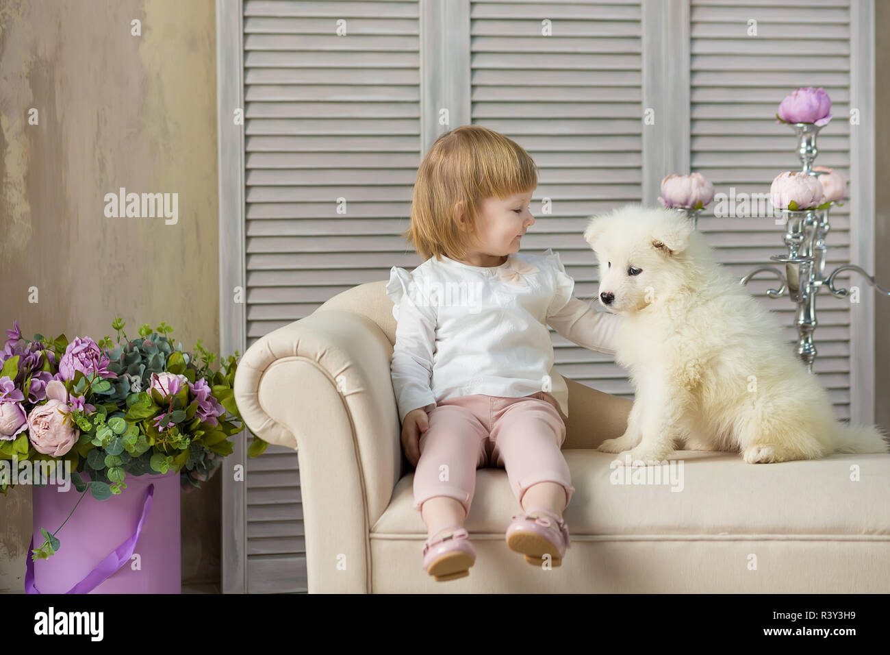 Portrait of blond baby girl play with husky puppy.Model girl with blond ...