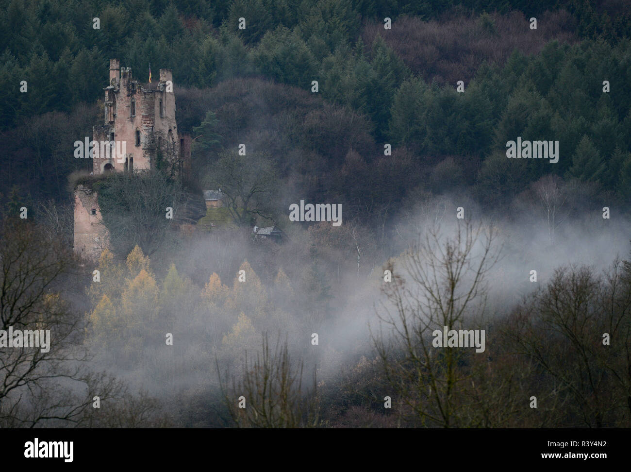 Kordel, Germany. 24th Nov, 2018. Fog is spreading through the forest ...