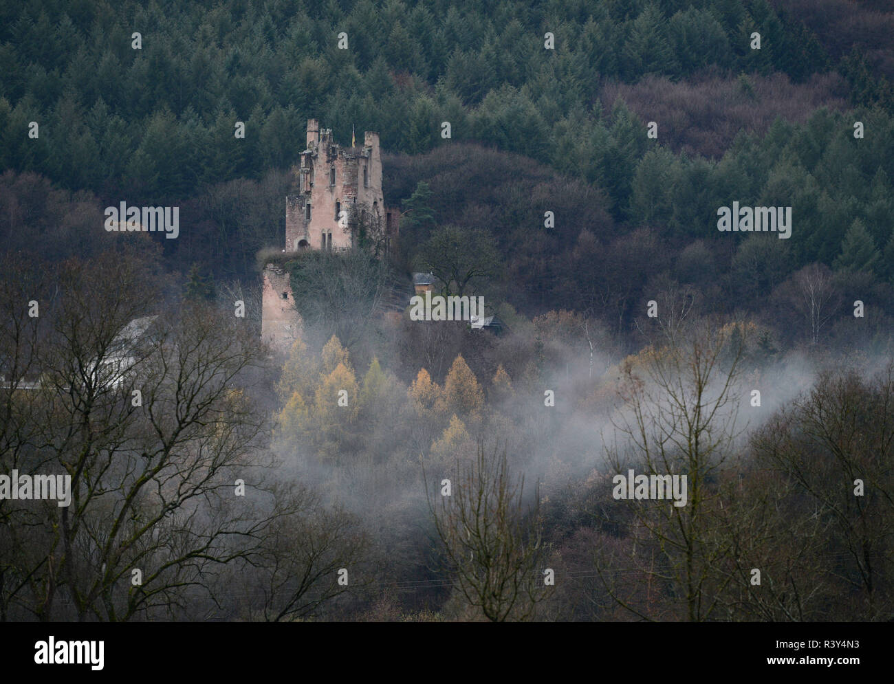 Kordel, Germany. 24th Nov, 2018. Fog is spreading through the forest ...
