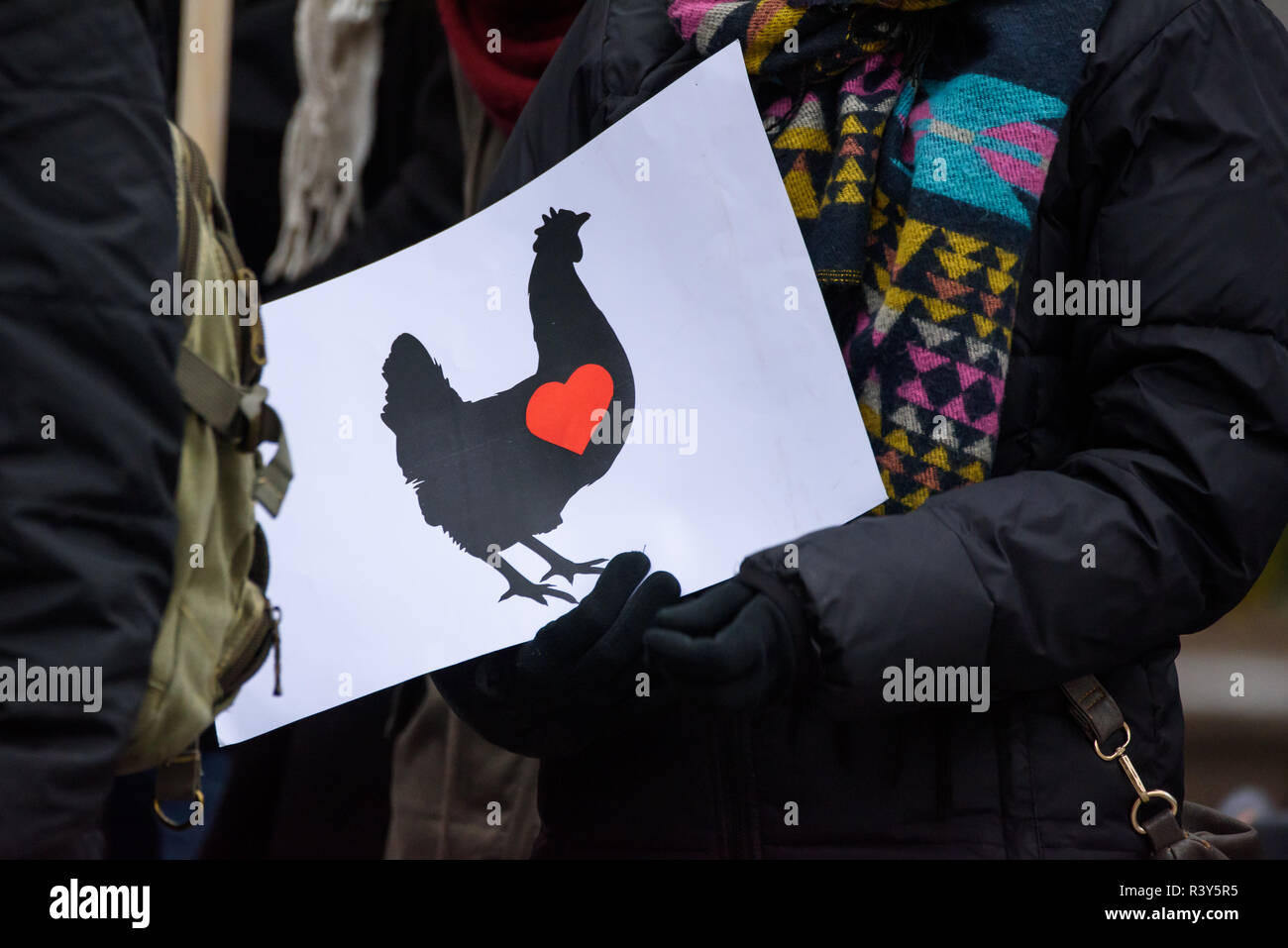 Chicken cruelty protest hi-res stock photography and images - Alamy