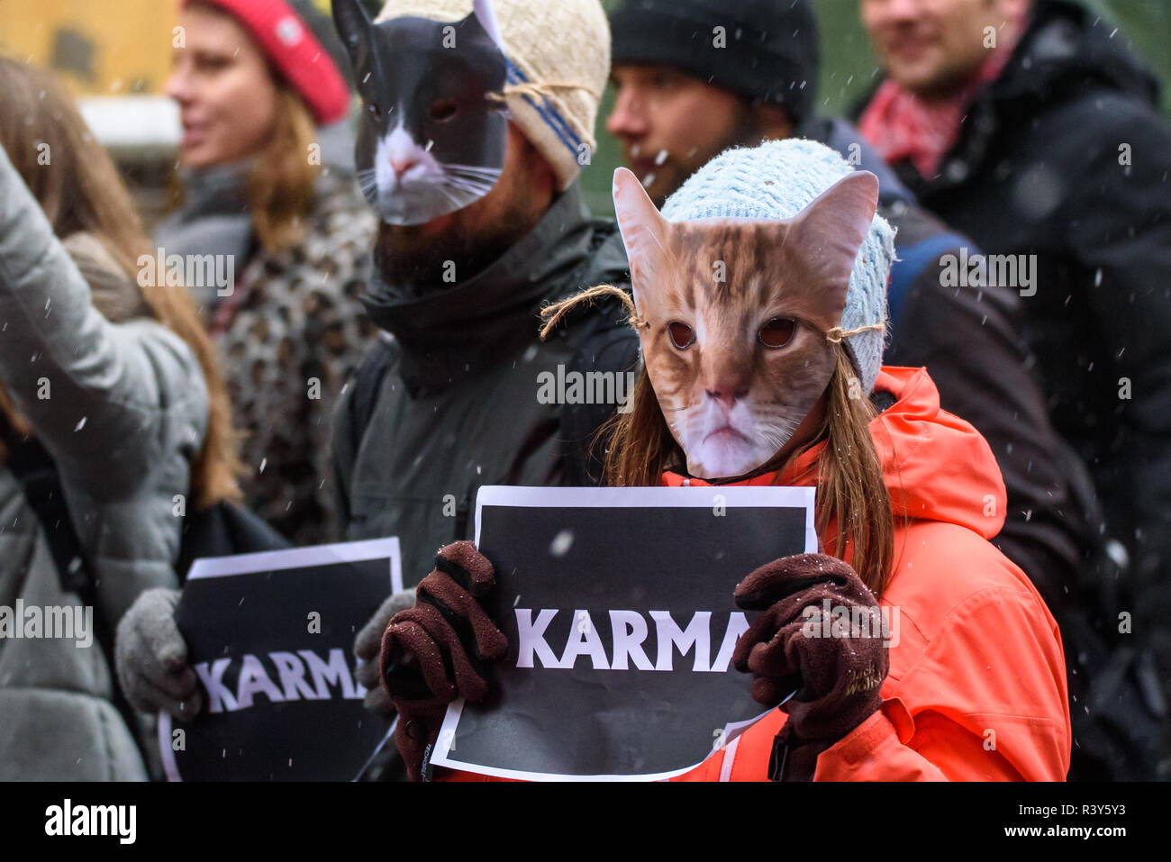 The Biggest Animal Advocacy Event In The History Of Latvia High ...
