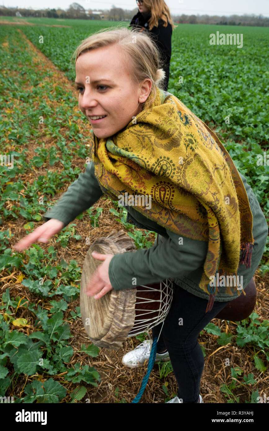 Kidlington, Oxford, UK. 24th November 2018. Campsfield House ...
