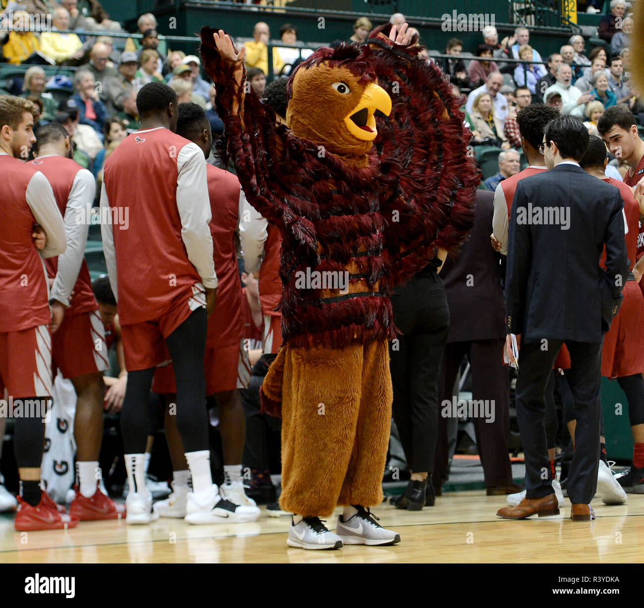 Hawk Mascot High Resolution Stock Photography and Images - Alamy