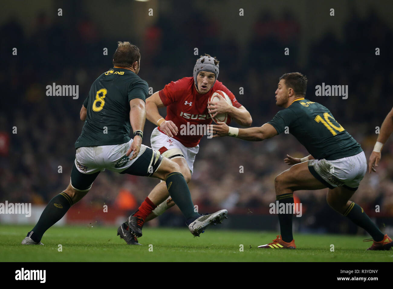 Pollard south africa hi-res stock photography and images - Alamy