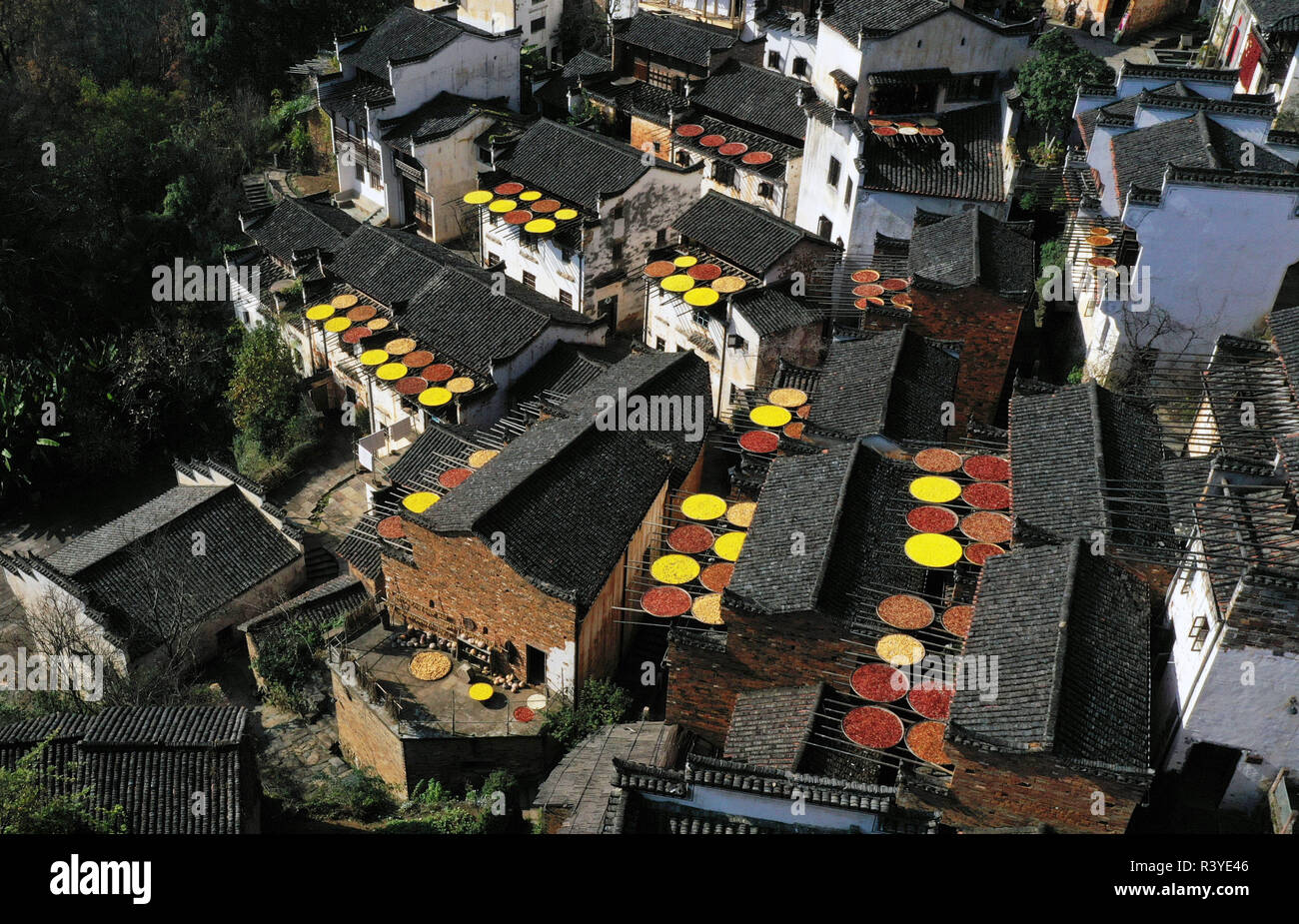 Beijing, China. 23rd Nov, 2018. Photo taken on Nov. 23, 2018 shows ...