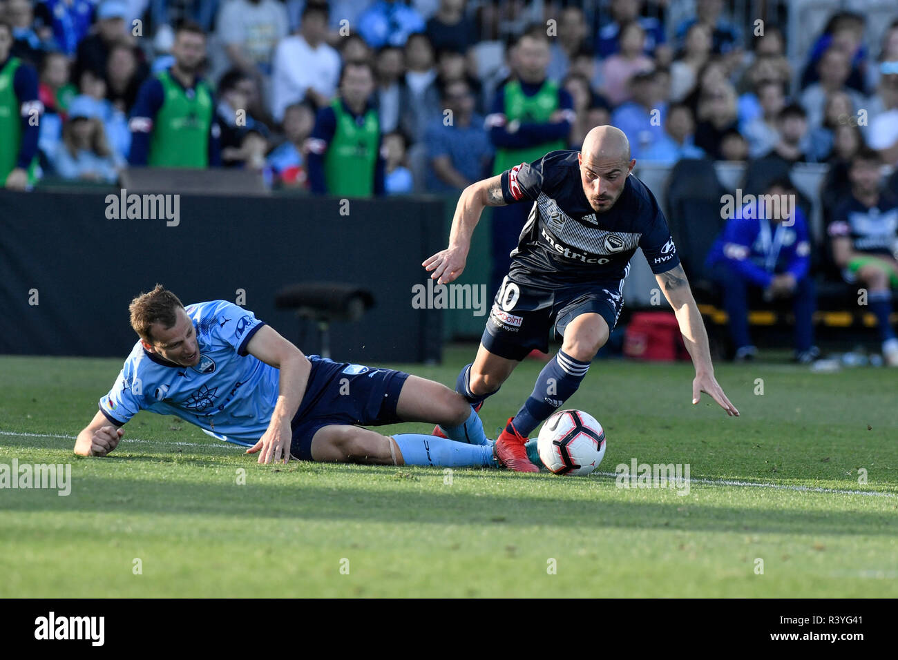 Jubilee Oval, Sydney, Australia. 25th Nov, 2018. A League football ...