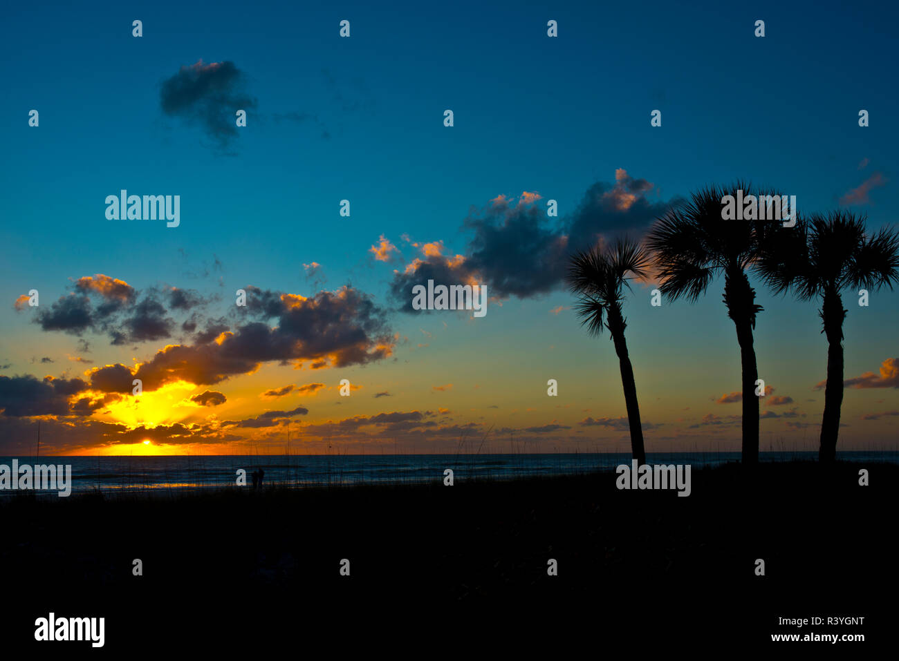 Crescent Beach Siesta Key Florida High Resolution Stock Photography and ...