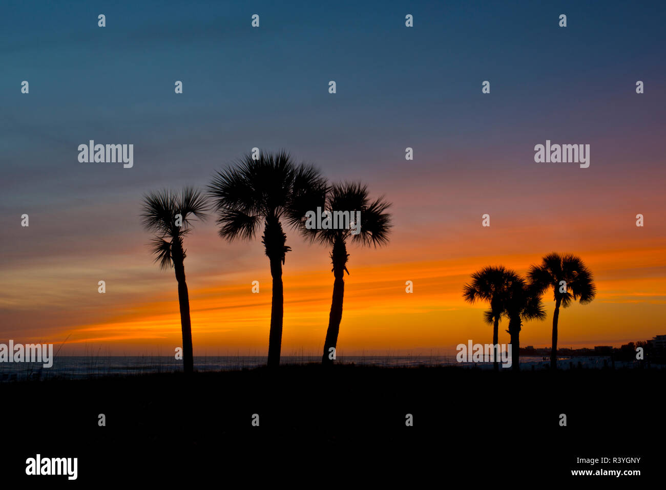 Crescent Beach Siesta Key Florida High Resolution Stock Photography and ...