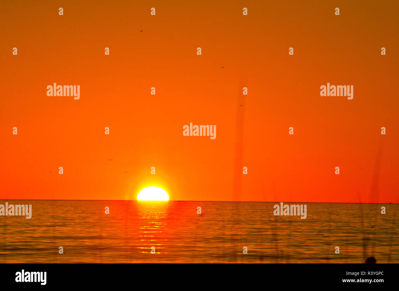Siesta key sunset hi-res stock photography and images - Alamy
