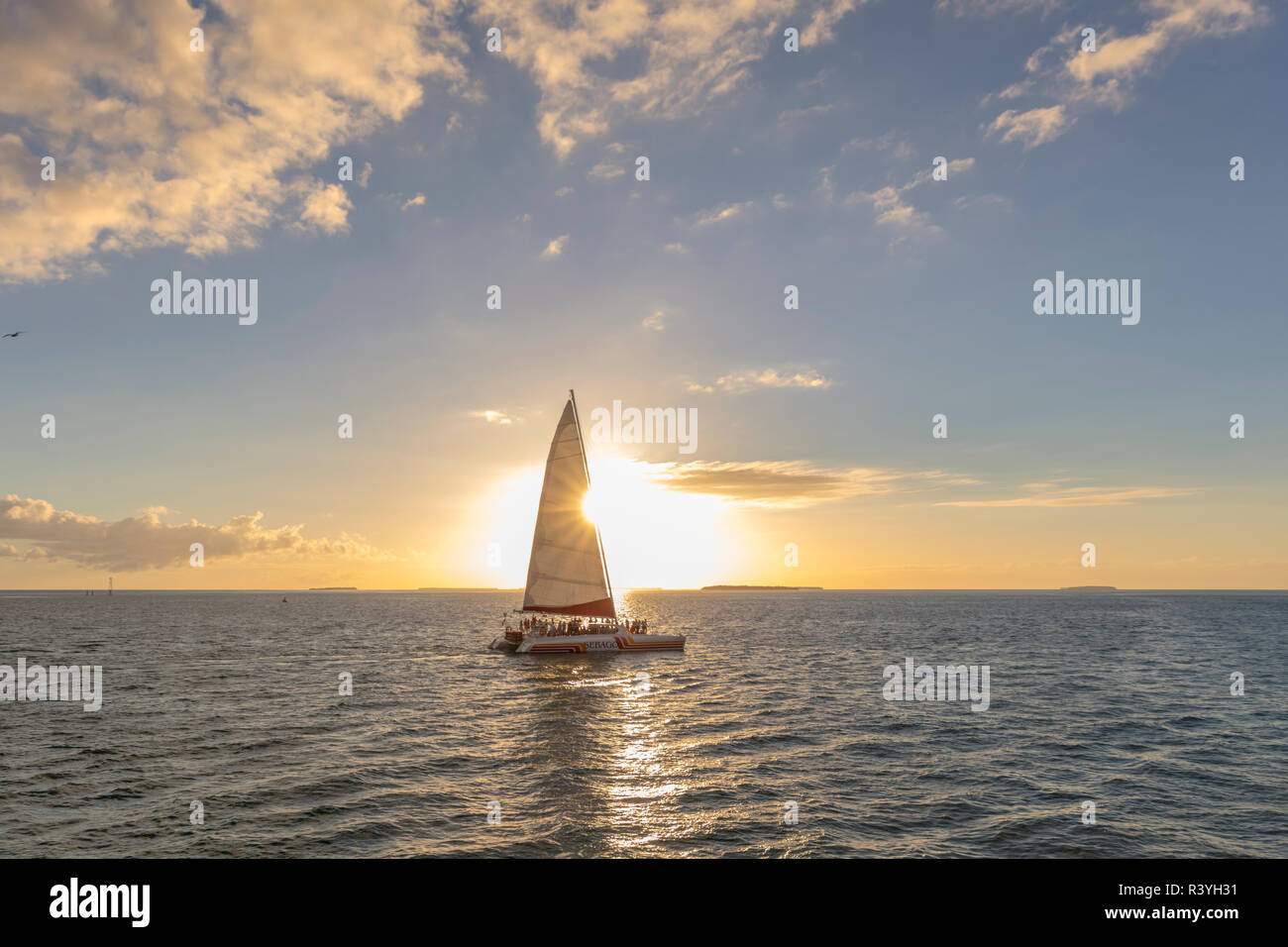 Catamaran in gulf mexico hi-res stock photography and images - Alamy