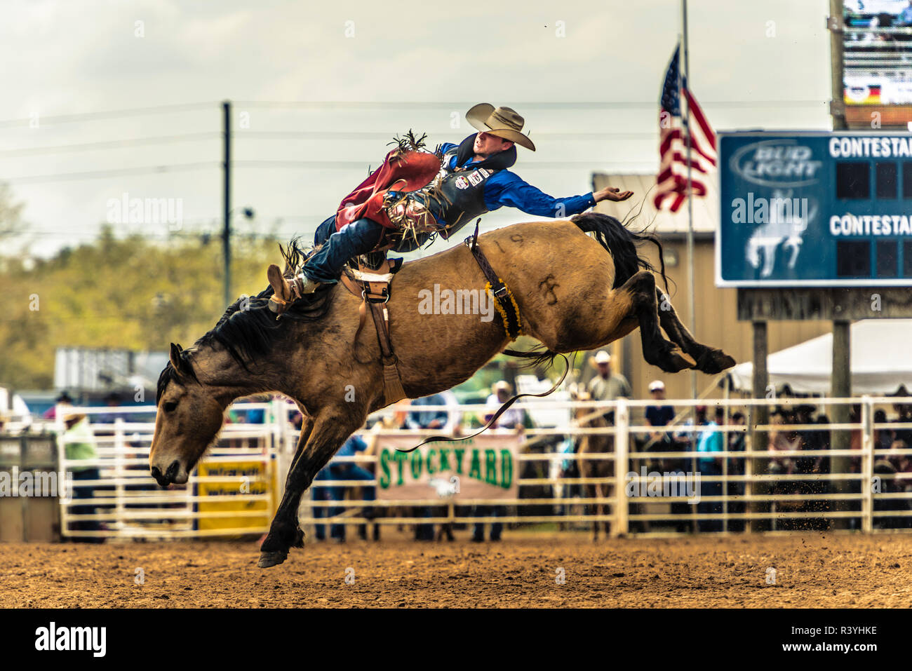 Arcadia florida hi-res stock photography and images - Alamy