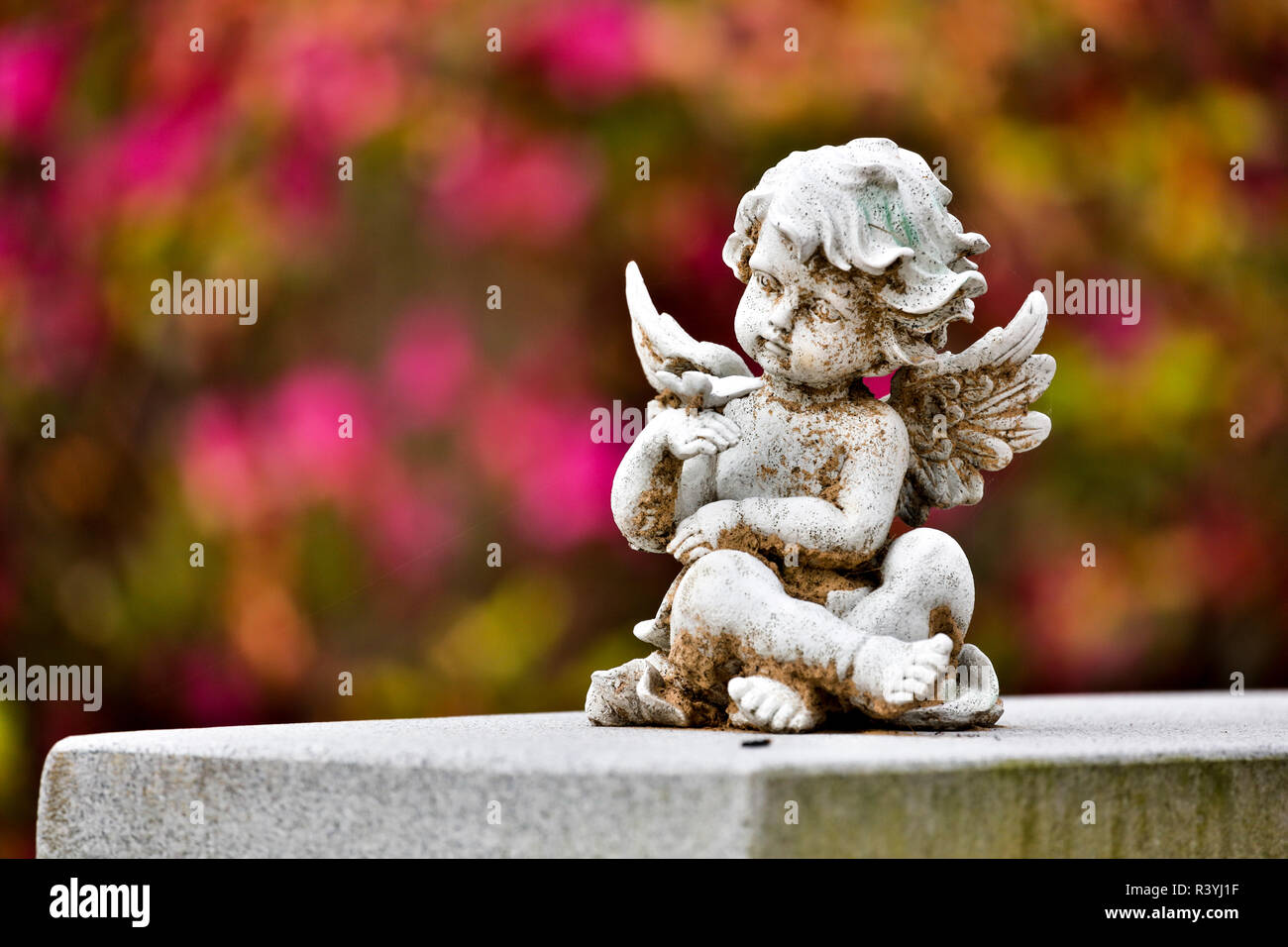 Georgia usa savannah cemetery hi-res stock photography and images - Alamy