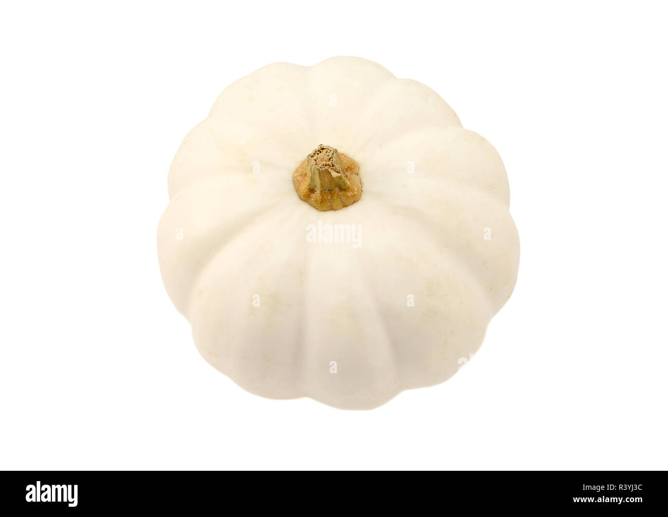 Small white pumpkin Stock Photo - Alamy