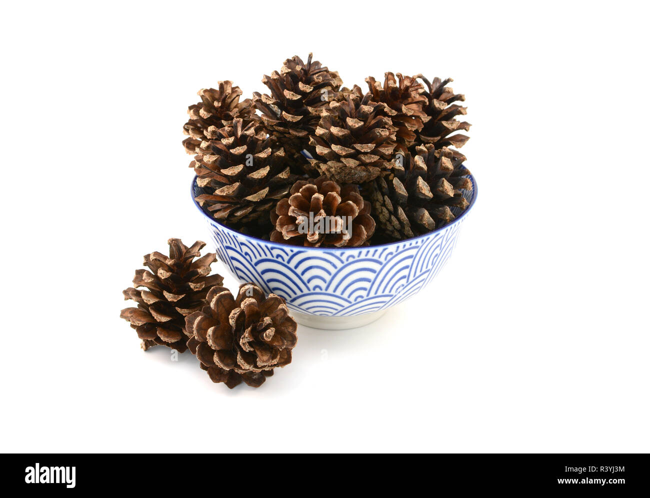 Fir cones arranged in and around a blue and white bowl Stock Photo - Alamy