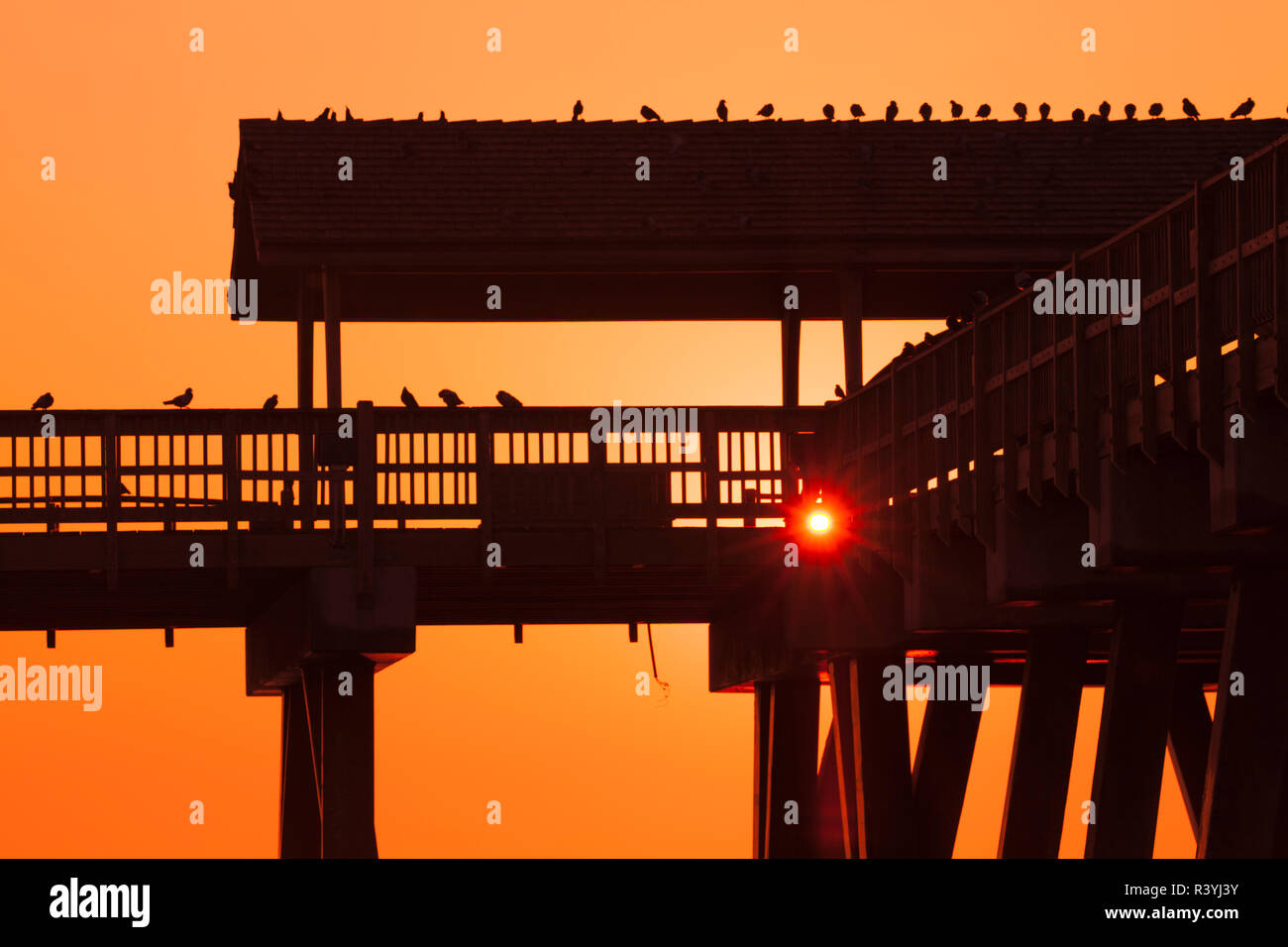 Tybee pier hi-res stock photography and images - Alamy