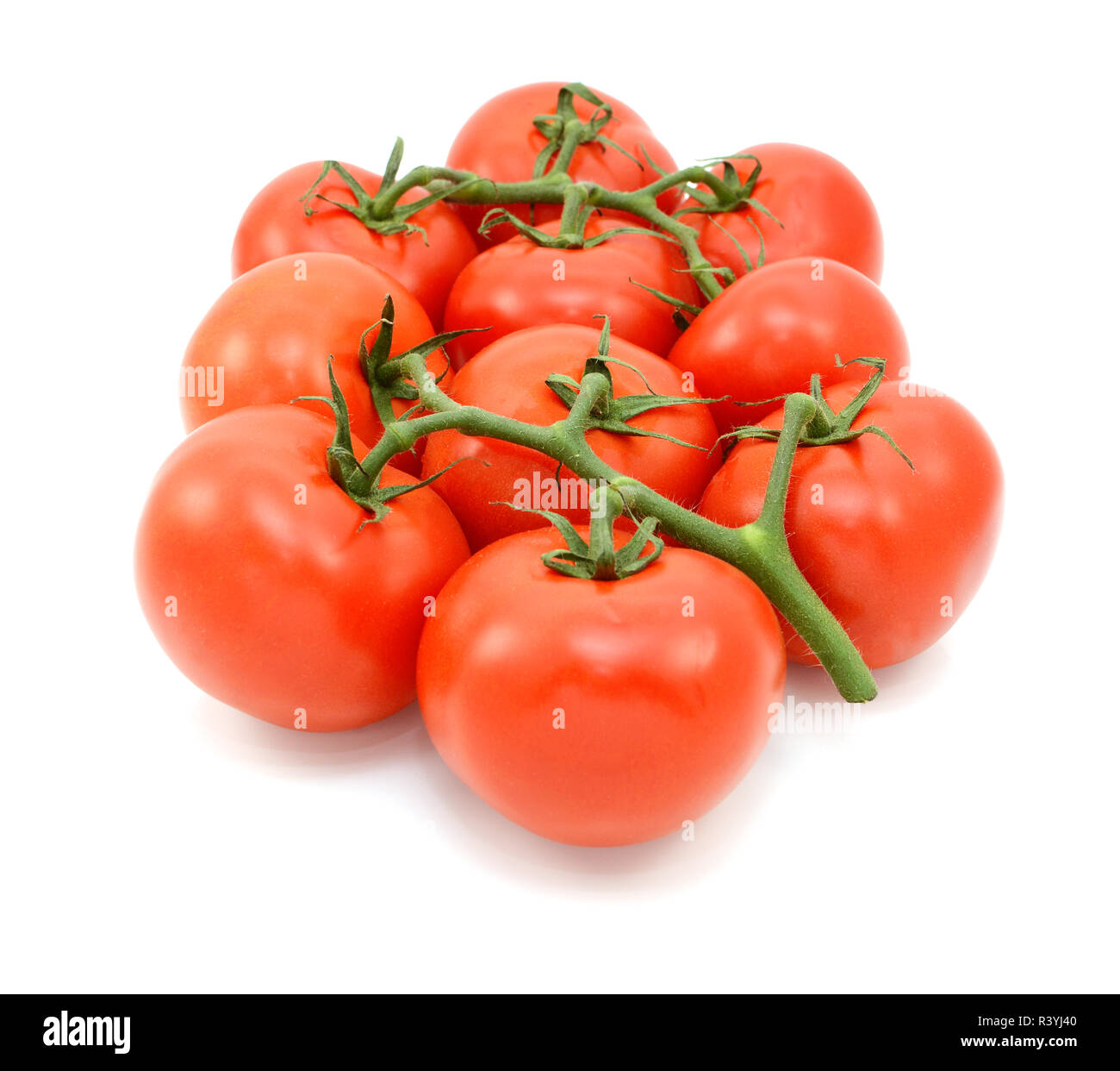 Ten red tomatoes on the vine Stock Photo - Alamy