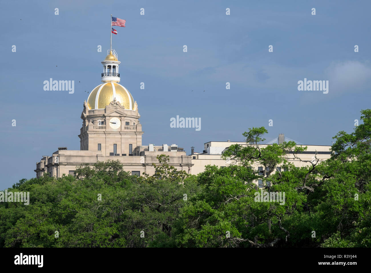 Savannah gold dome city hall hi-res stock photography and images - Alamy