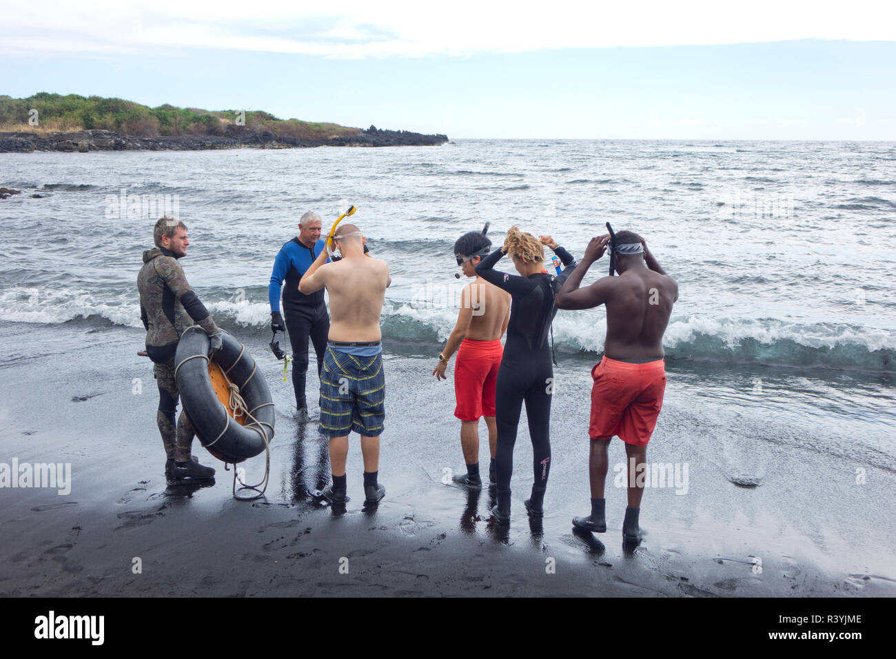 Students, University of HI Research project re green sea turtles Stock ...