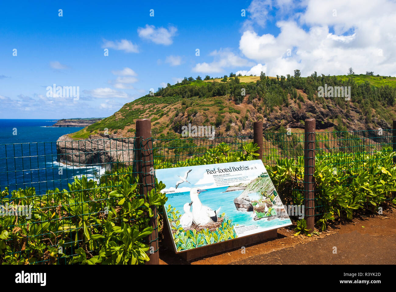 Kilauea Point National Wildlife Refuge, Kilauea, Island of Kauai ...